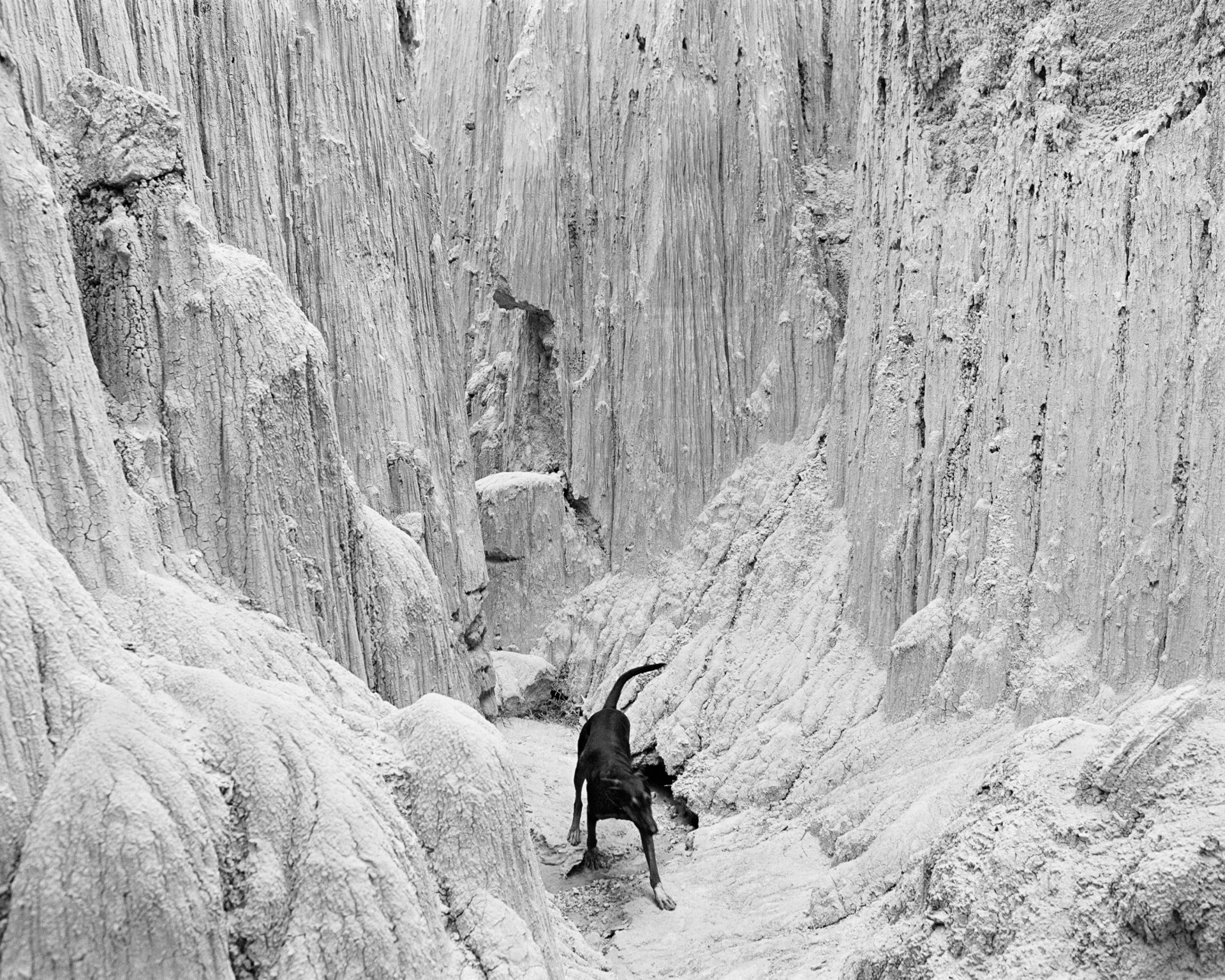 Ep. 34: Mimi Plumb on Landfall, The White Sky and Cesar Chavez ...