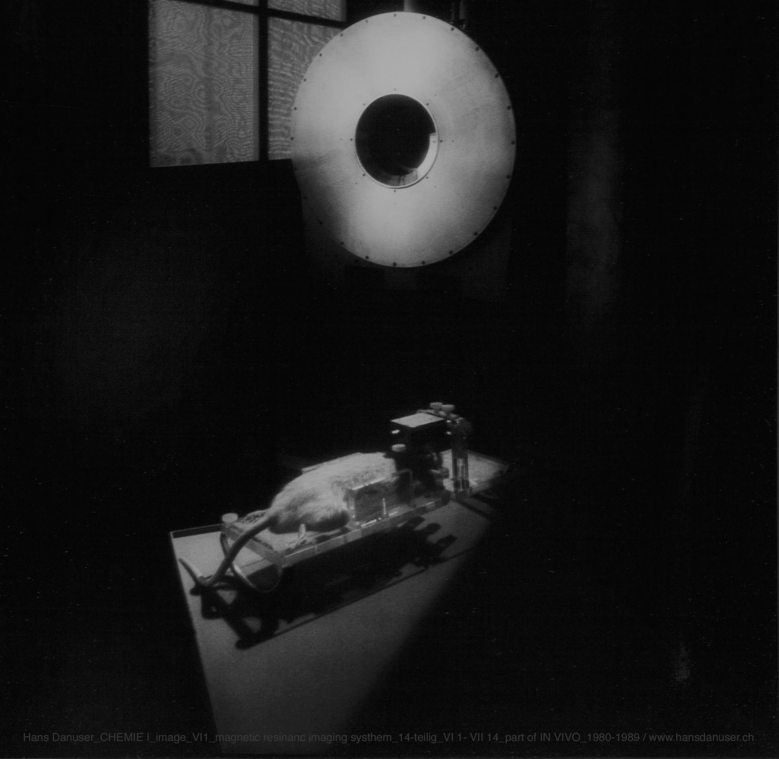 Ep. 44: Hans Danuser Darkrooms of Photography | Nearest Truth | A ...