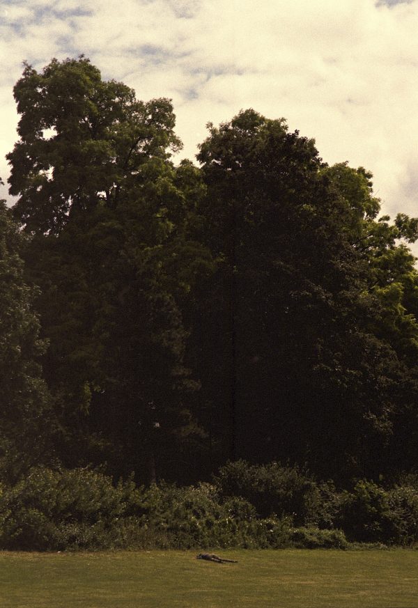 Ep. 168: On Nun Gun Mondo Decay Brad Feuerhelm & Lee Tesche | Nearest ...