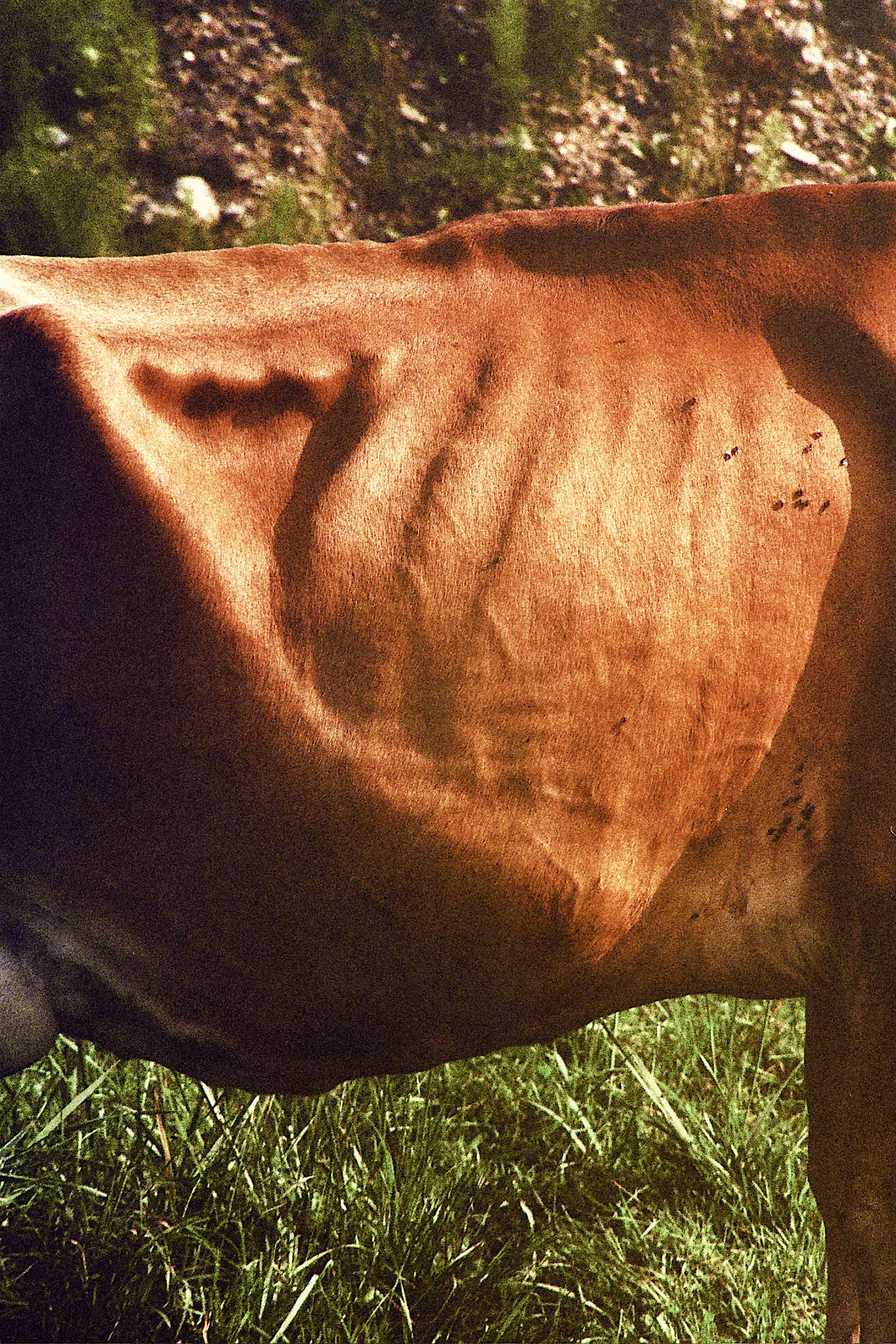 Ep. 168: On Nun Gun Mondo Decay Brad Feuerhelm & Lee Tesche | Nearest ...